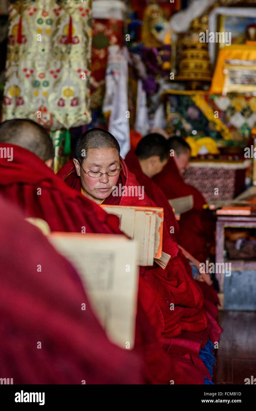 Praying at the temple Stock Photo - Alamy