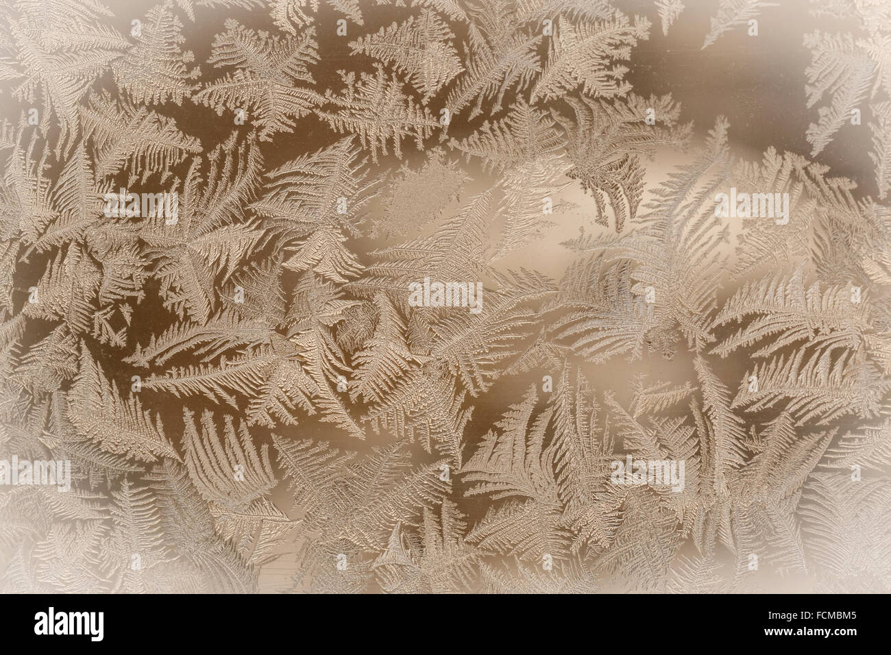 Golden frost hi-res stock photography and images - Alamy