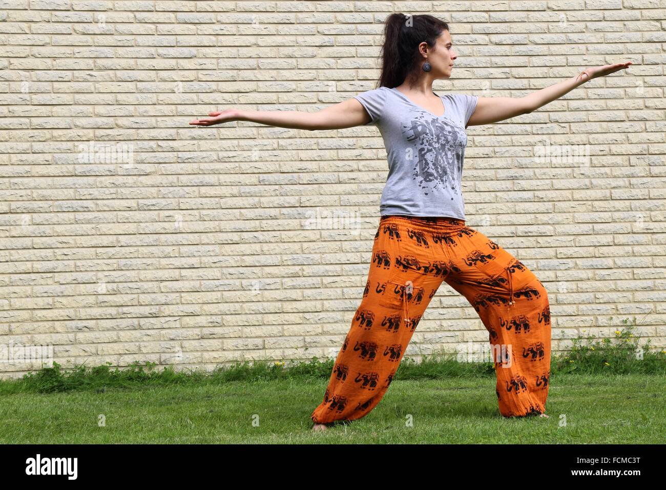 Tai chi outdoor exercise hi-res stock photography and images - Alamy
