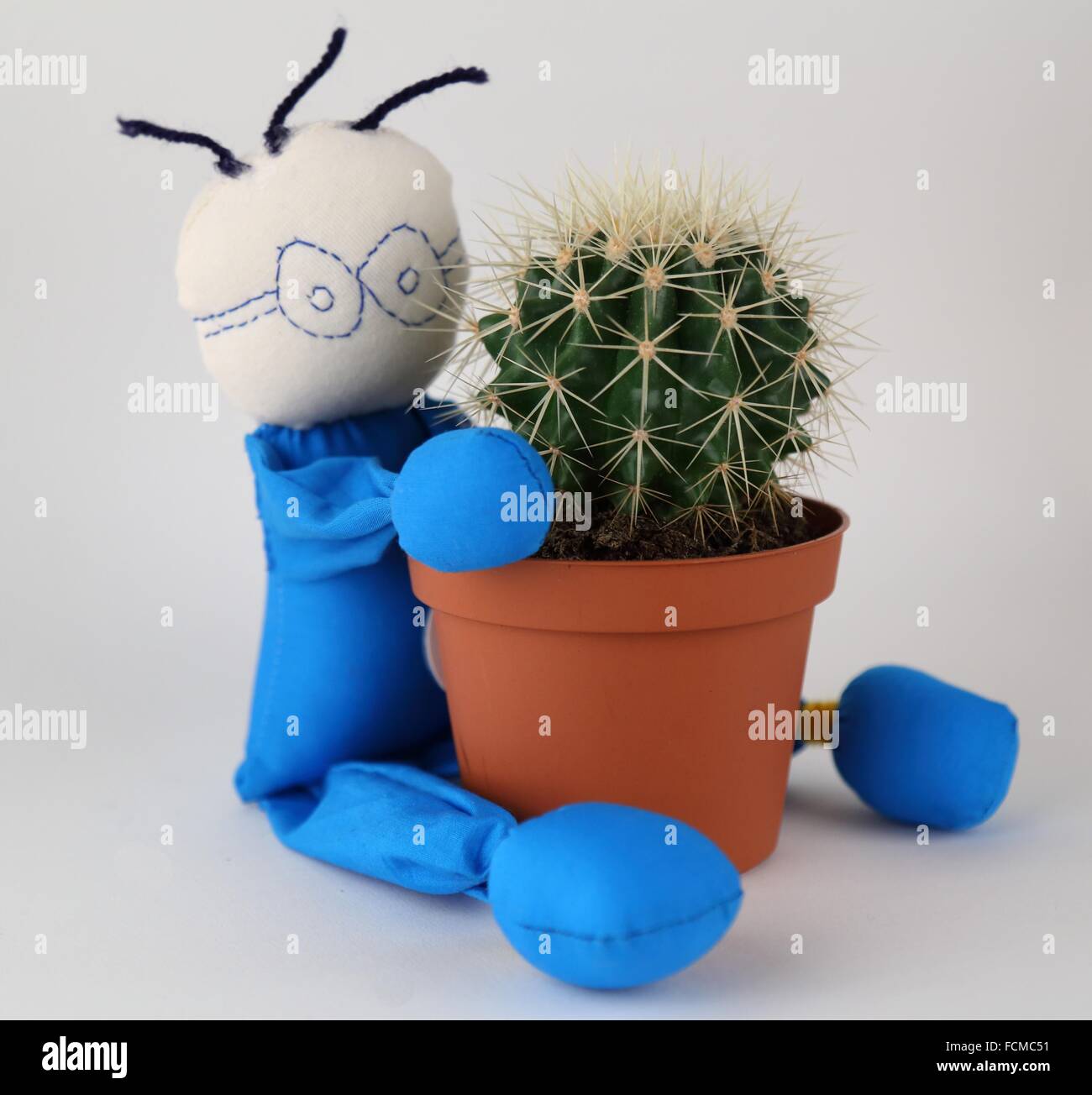 Touch the cactus hi-res stock photography and images - Alamy