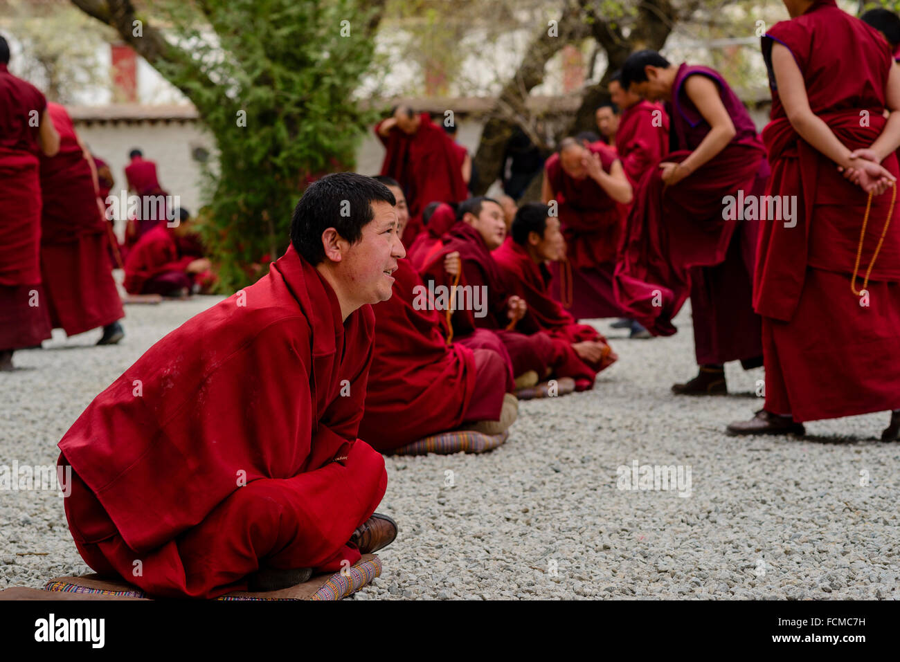 Monks debate at Sera monastery Stock Photo - Alamy