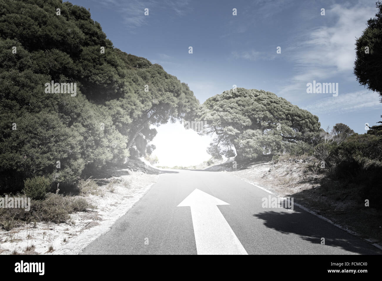 Image of road and arrow on asphalt pointing direction Stock Photo - Alamy