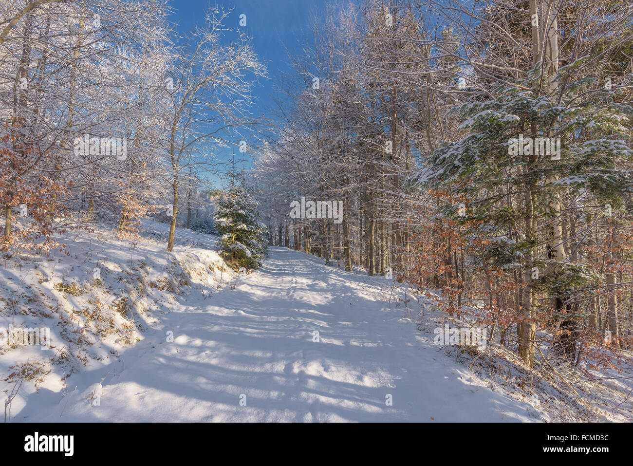 Sunny but cold hi-res stock photography and images - Alamy
