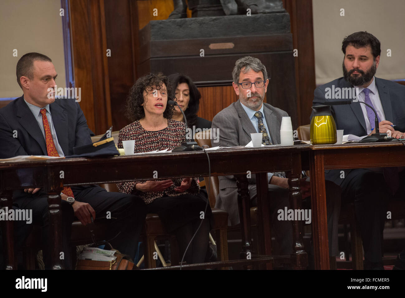 New York, NY, USA. 22nd Jan, 2016. MINDY TARLOW, Director, Mayor's Office of Operations, speaks ...