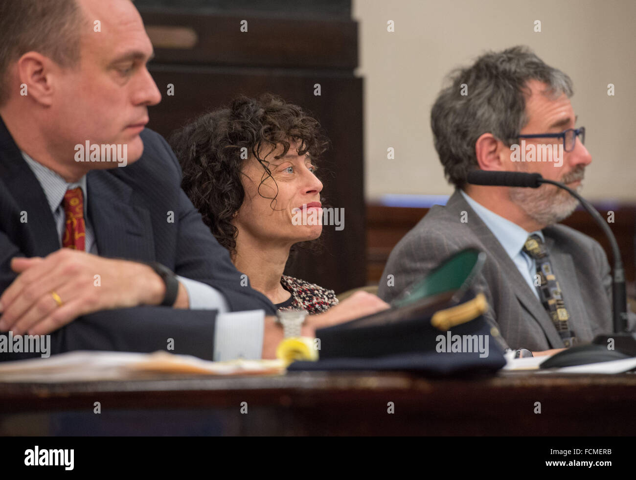 New York, NY, USA. 22nd Jan, 2016. MINDY TARLOW, Director, Mayor's Office of Operations, speaks ...