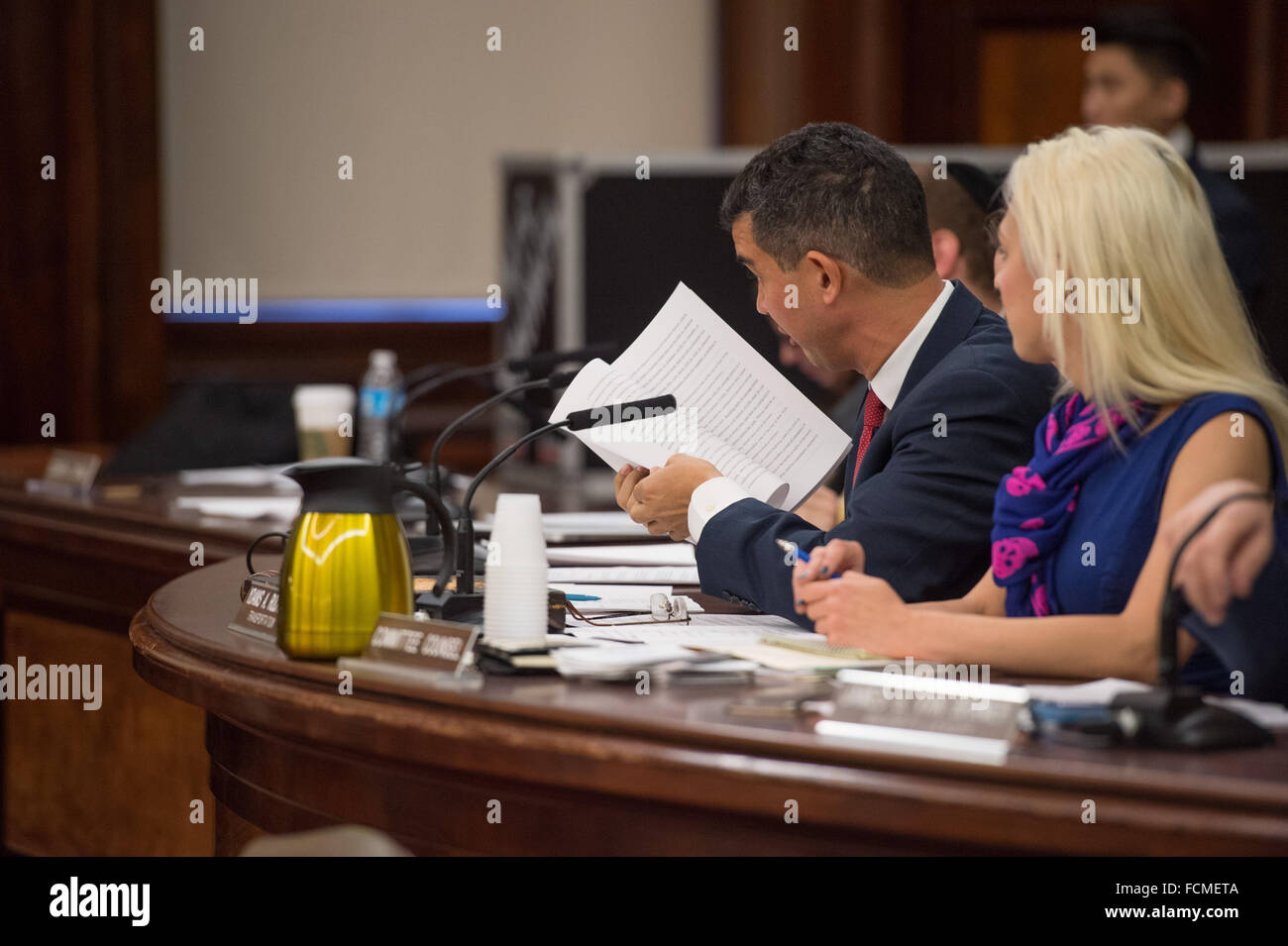 New York, NY, USA. 22nd Jan, 2016. City Council member YDANIS RODRIGUEZ ...