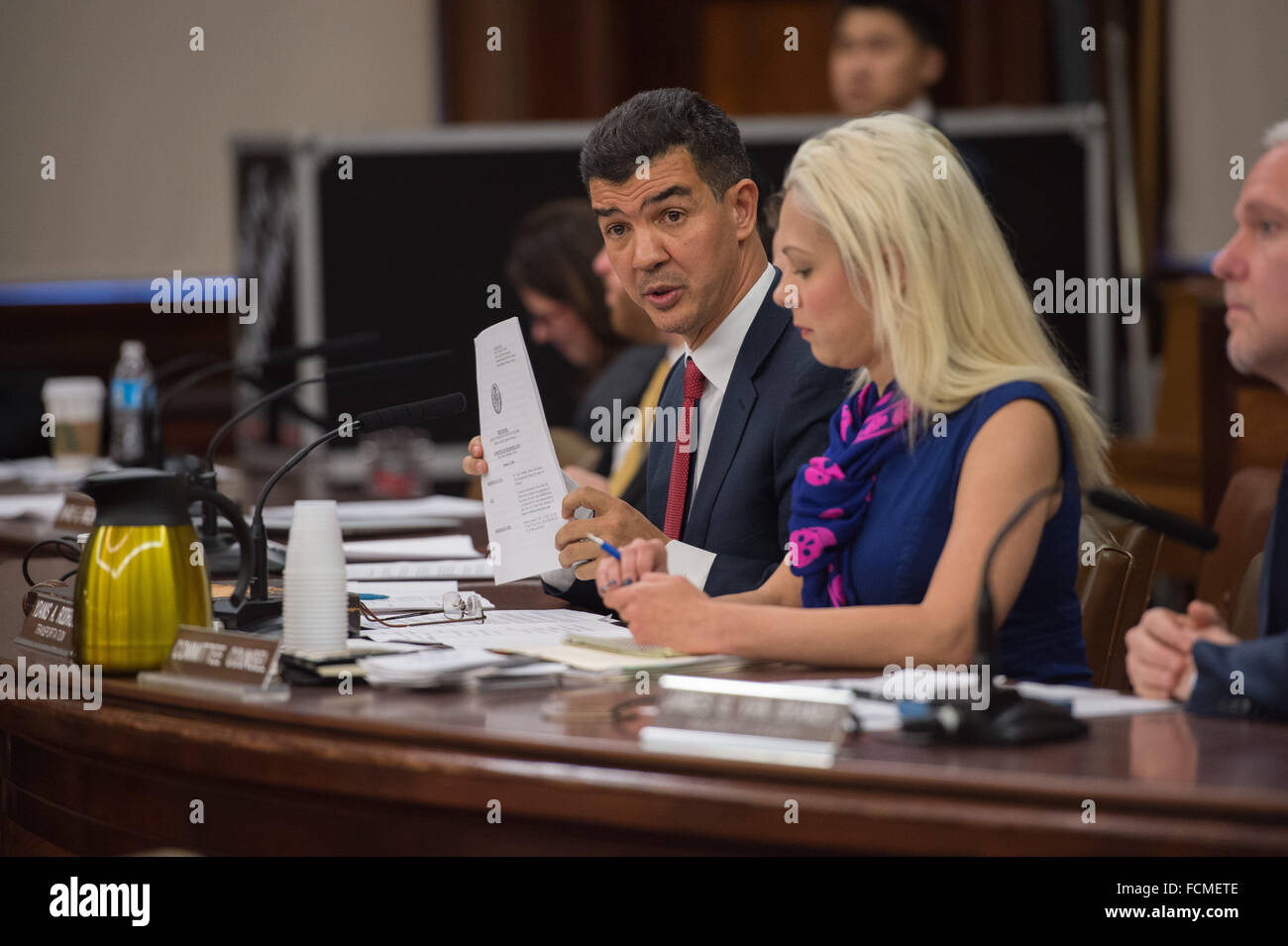 New York, NY, USA. 22nd Jan, 2016. City Council member YDANIS RODRIGUEZ ...