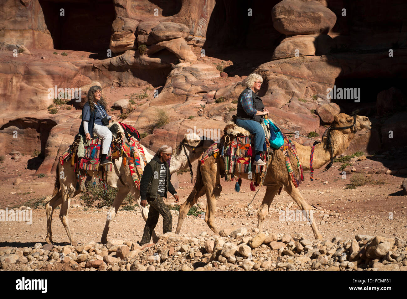Bedouin with camel hi-res stock photography and images - Alamy