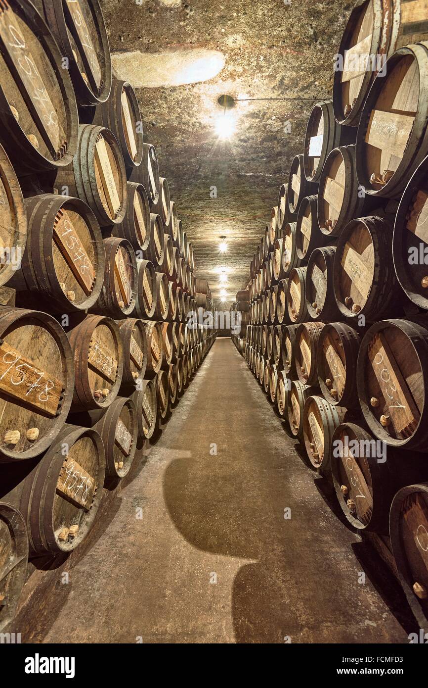 Vina tondonia winery hi-res stock photography and images - Alamy