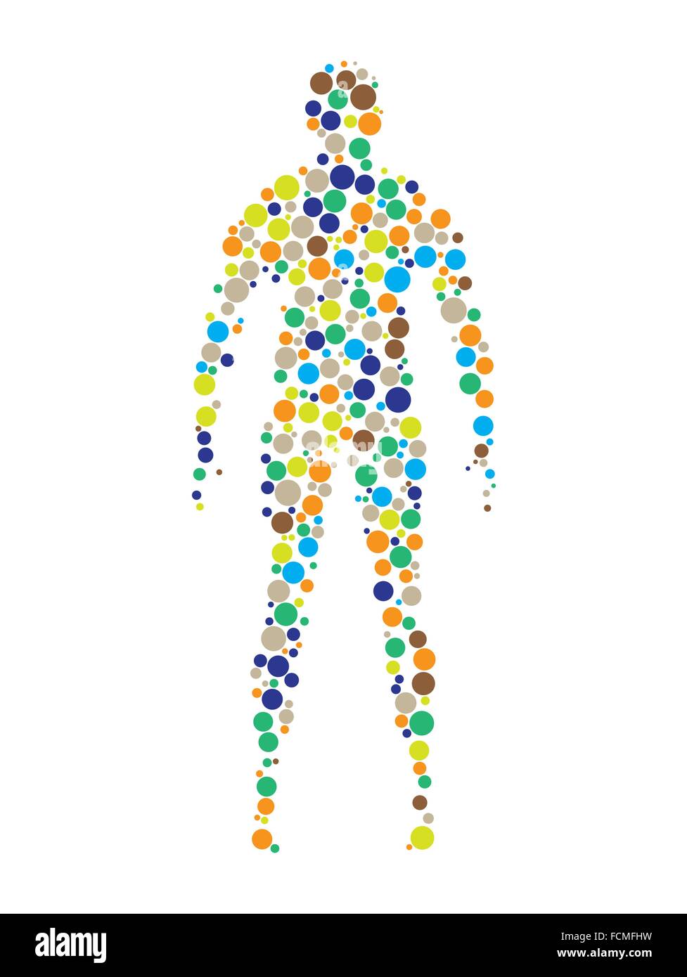 Human body front back drawing vector hi-res stock photography and ...