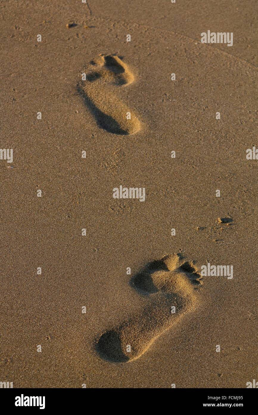 foot print on sand Stock Photo - Alamy
