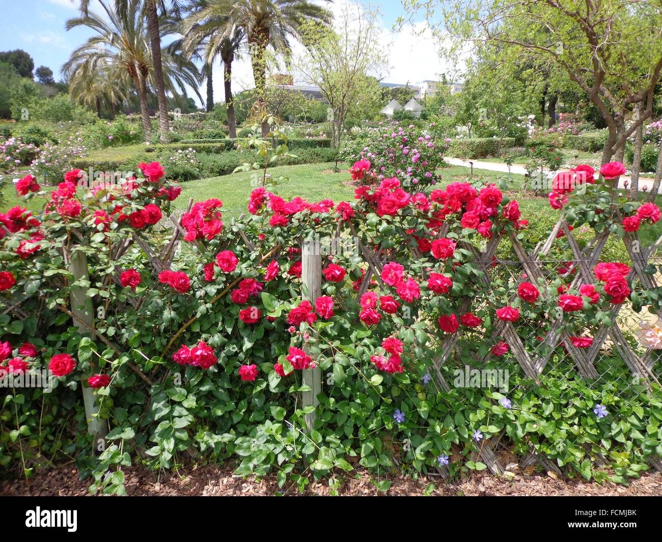 Parques jardines hi-res stock photography and images - Alamy