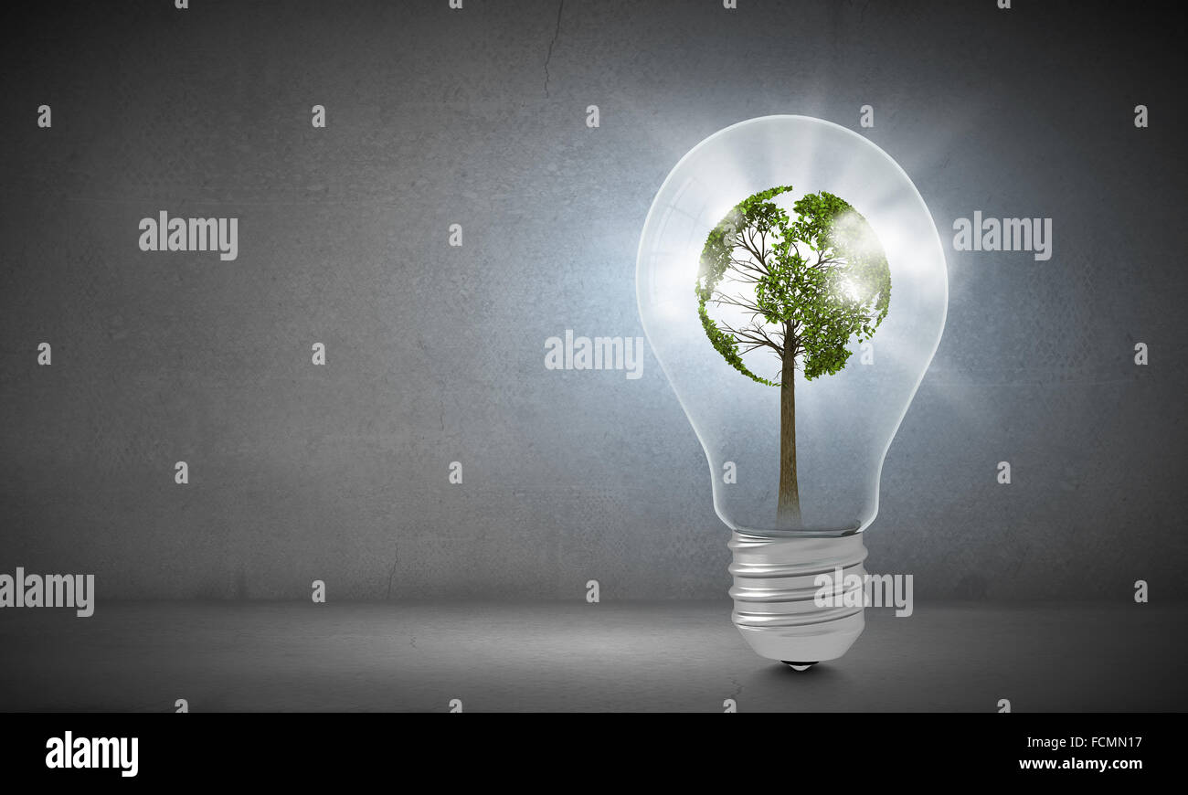 Light bulb with tree inside. Ecology concept Stock Photo - Alamy