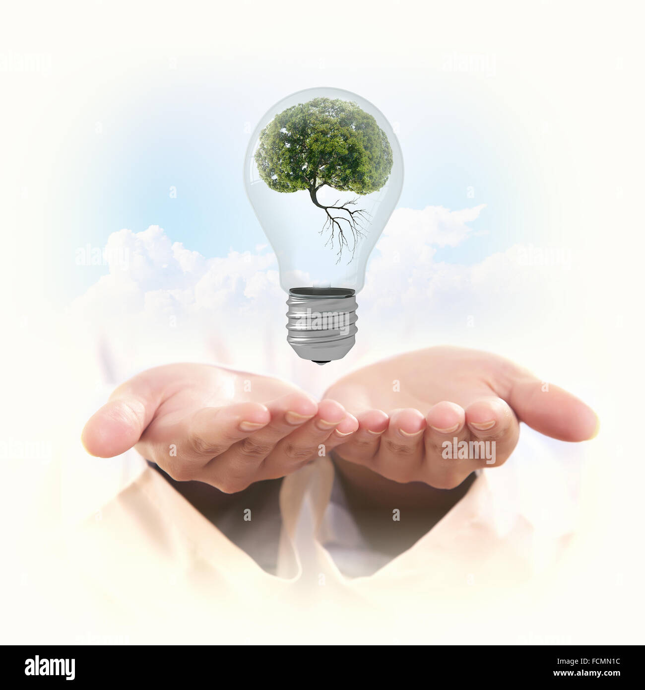 Light bulb with tree inside. Ecology concept Stock Photo - Alamy