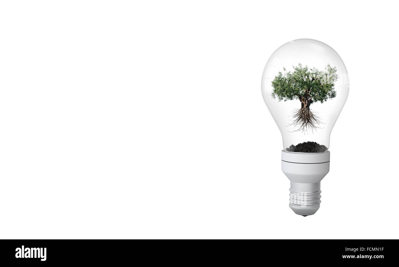 Light bulb with tree inside. Ecology concept Stock Photo - Alamy