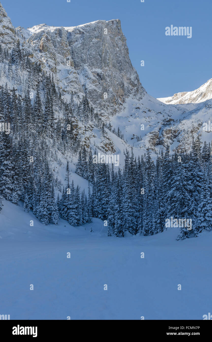 Snowy mountain over Dream Lake vertical with snow covered trees and ...