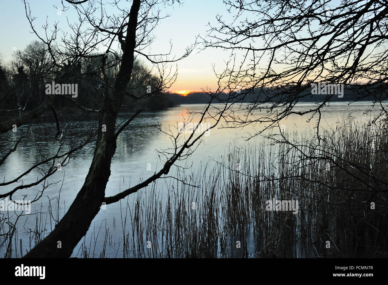 Coate water country park hi-res stock photography and images - Alamy