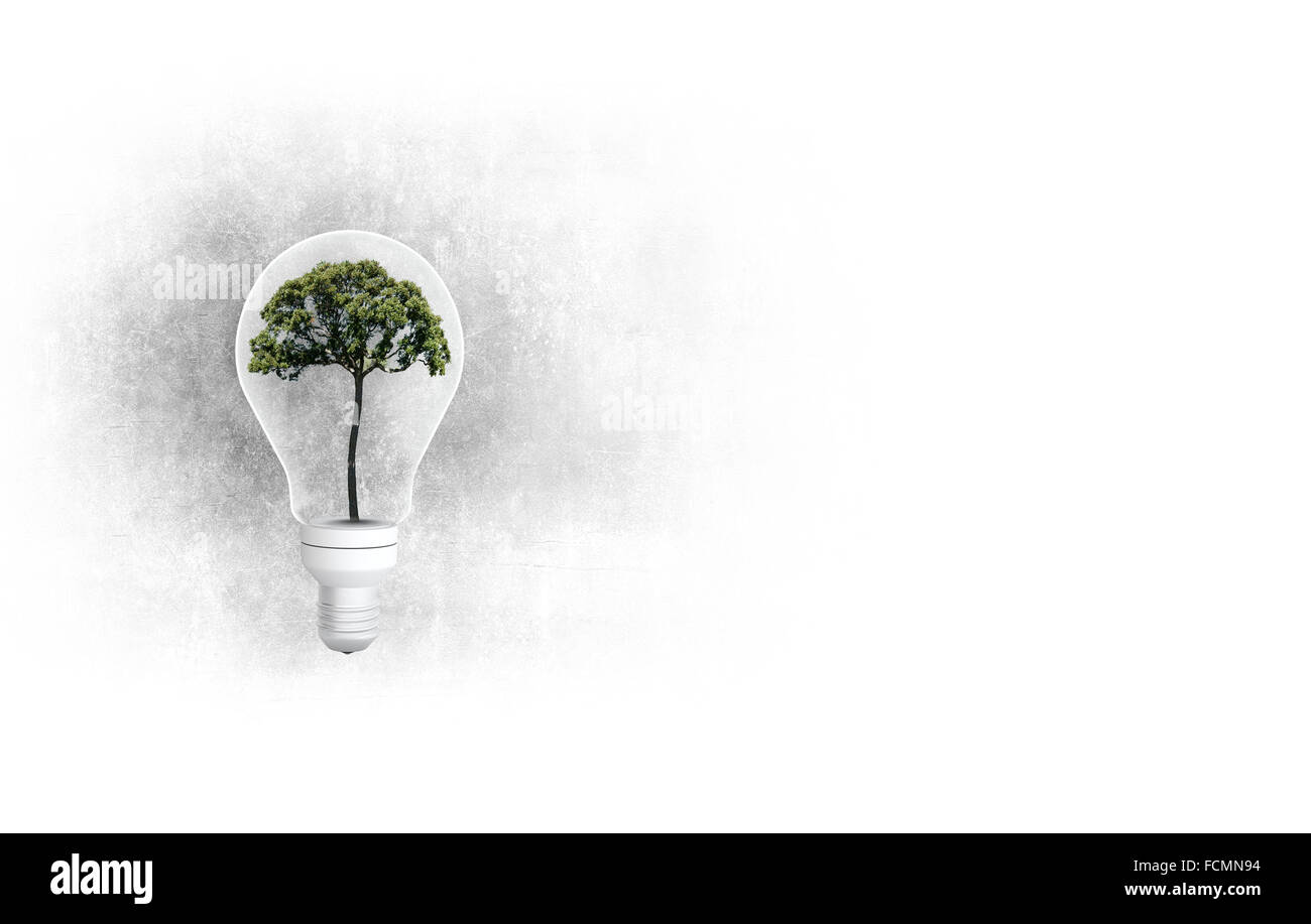 Light bulb with tree inside. Ecology concept Stock Photo - Alamy