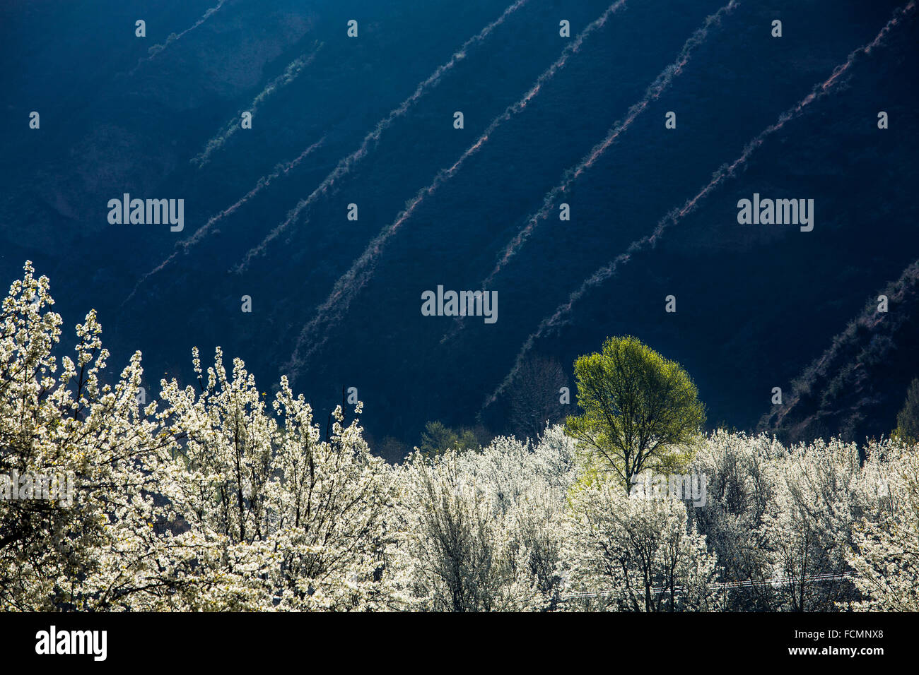 Sichuan Jinchuan river valley Stock Photo - Alamy