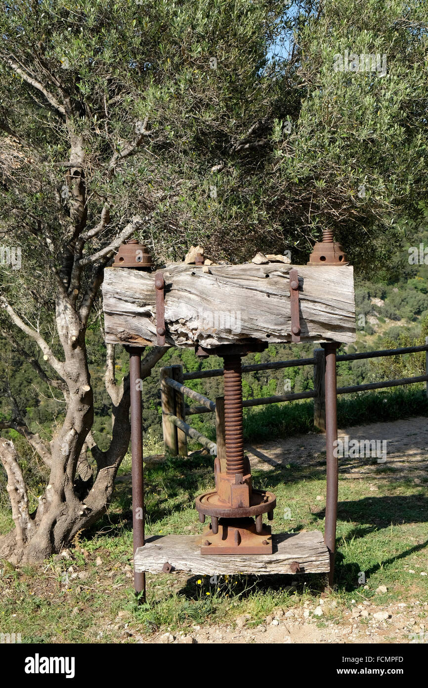 Olive press hi-res stock photography and images - Alamy