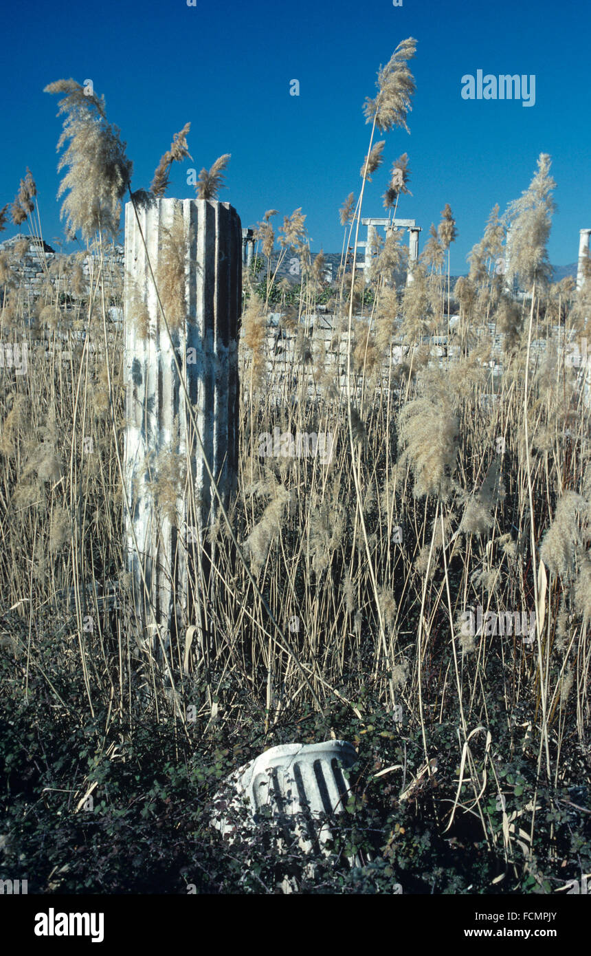 Ancient Greek Marble Column Hidden in Reed Beds at the Ancient Greek ...