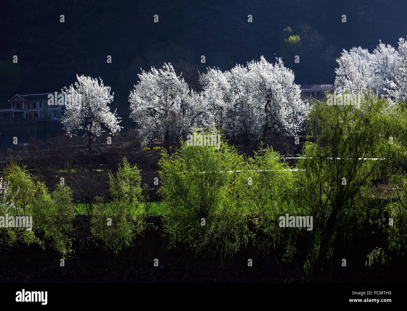 Sichuan jinchuan river valley hi-res stock photography and images - Alamy