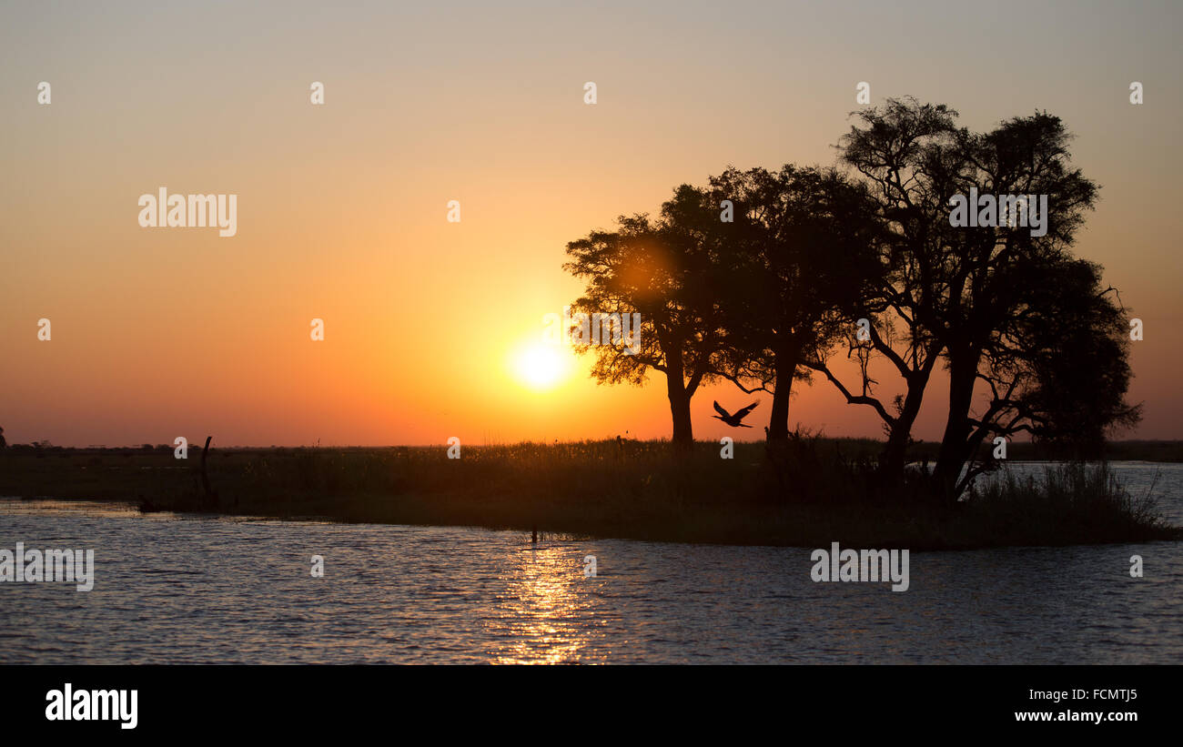 Sunset over the Chobe River in Botswana Stock Photo - Alamy