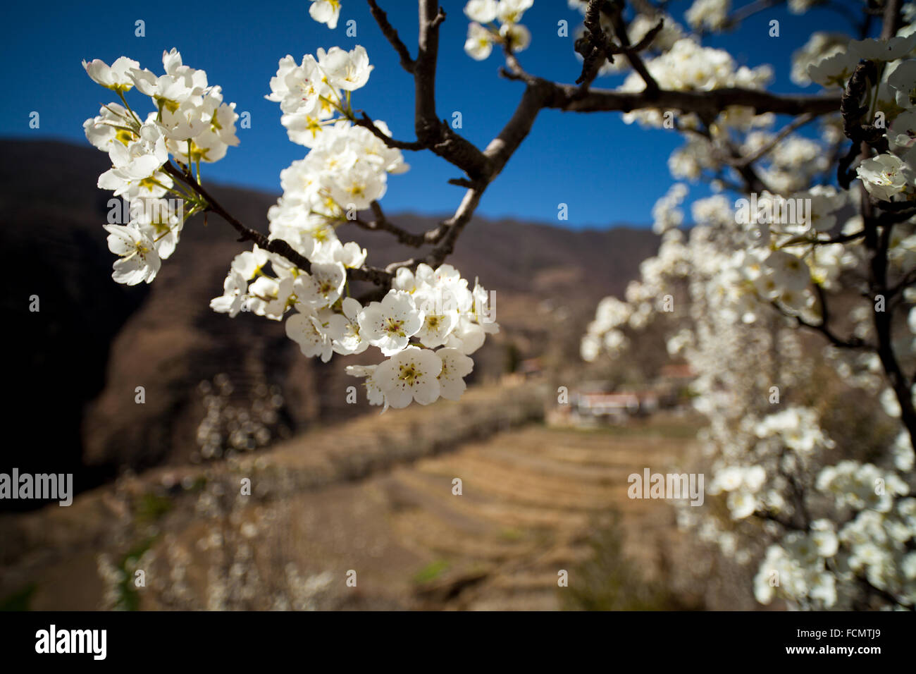 Sichuan Jinchuan river valley Stock Photo - Alamy