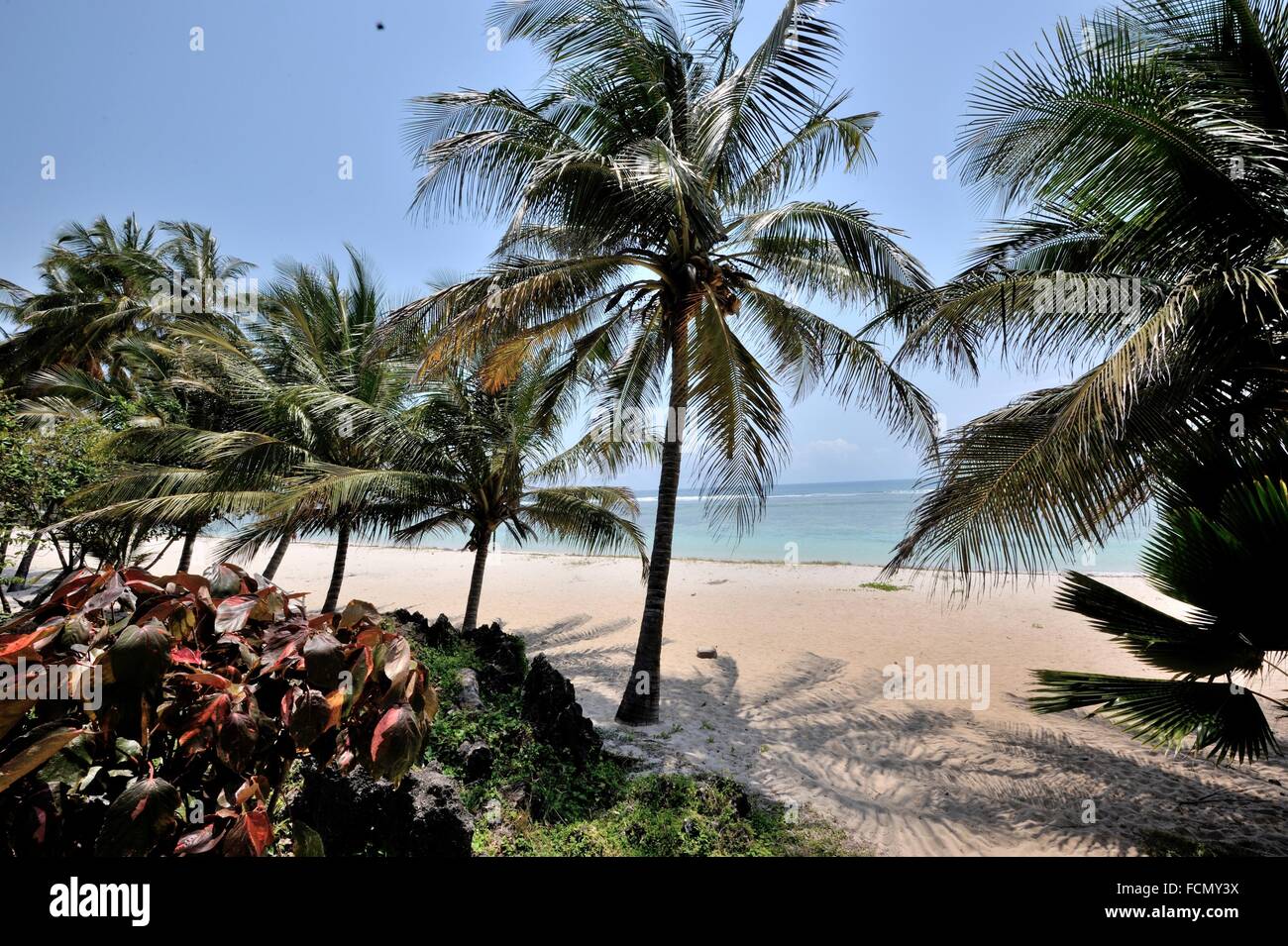 Tiwi People Stock Photos & Tiwi People Stock Images - Alamy