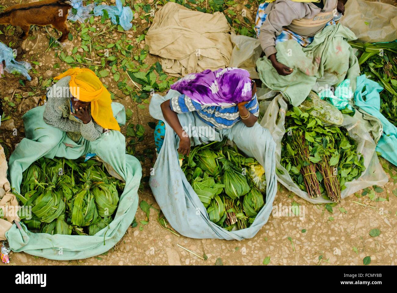 Sitting khat hi-res stock photography and images - Alamy