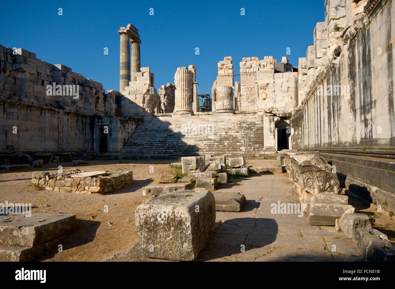 Didymaion hi-res stock photography and images - Alamy