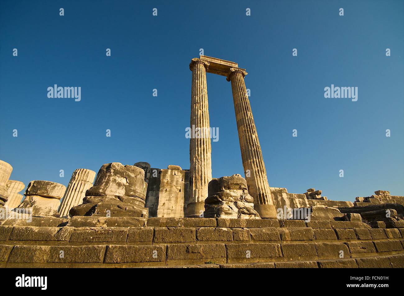 Standing columns in the Peristasis of The Apollo Temple of Didyma ...