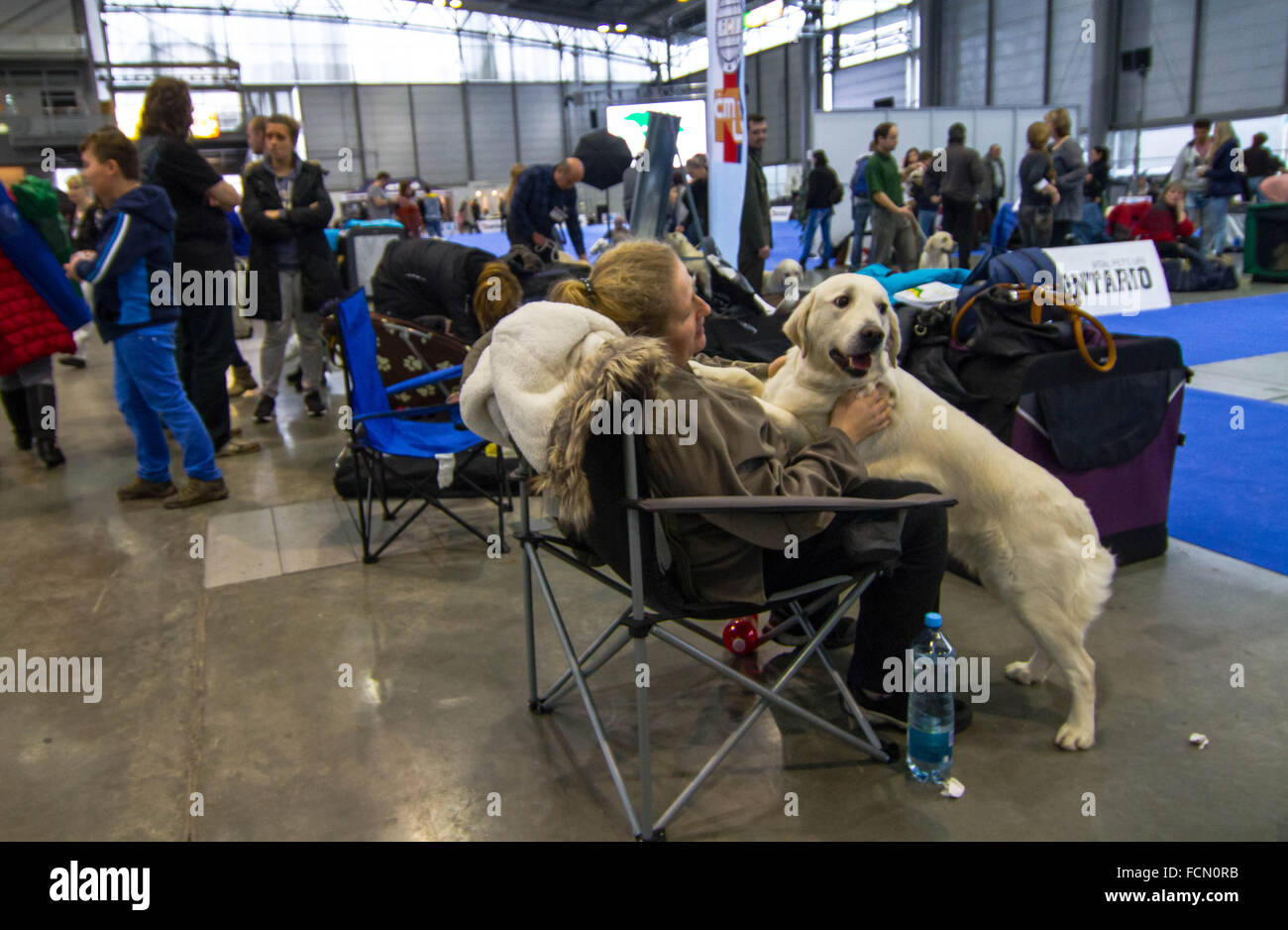 Canine show hi-res stock photography and images - Alamy