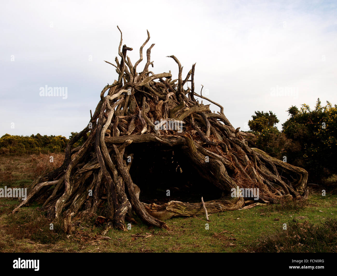 Den wood hi-res stock photography and images - Alamy