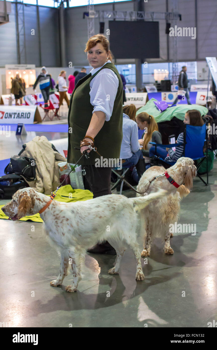 Breed dog exhibition hi-res stock photography and images - Alamy
