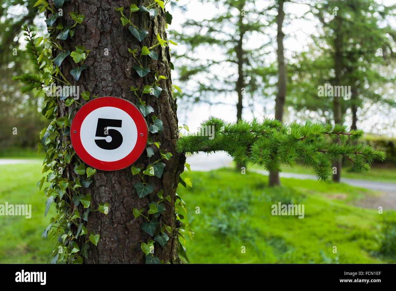 Tree attached hi-res stock photography and images - Alamy