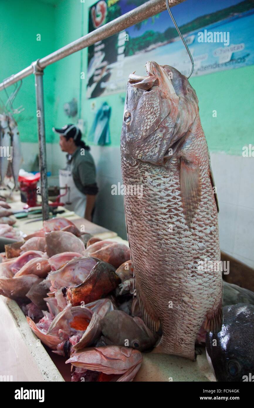 Merida Central Market Yucatan Mexico High Resolution Stock Photography ...