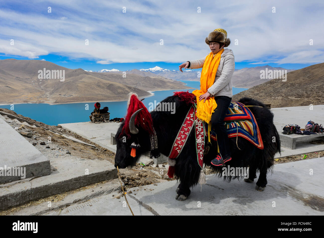 Yak riding hi-res stock photography and images - Alamy