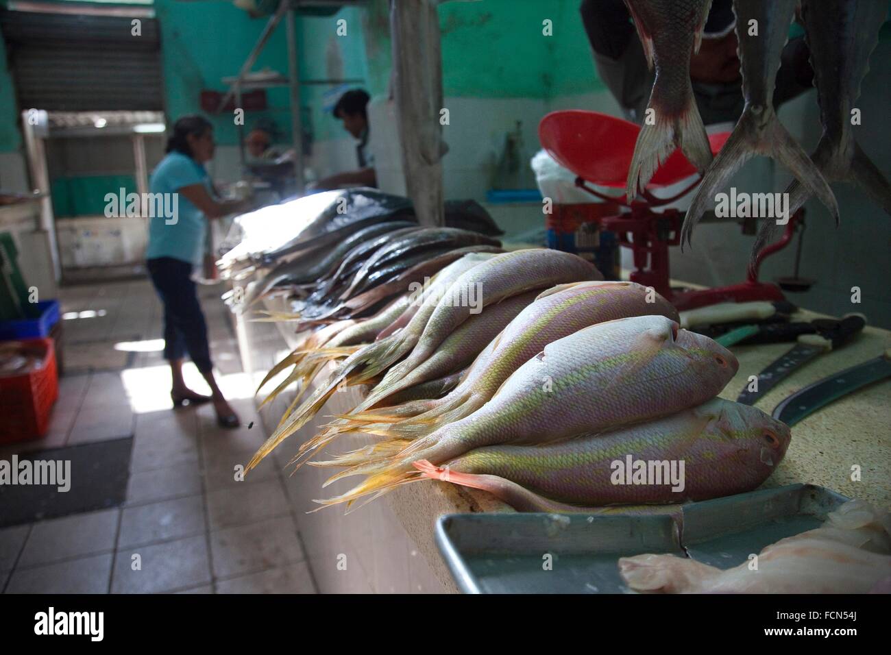 Seafood section hi-res stock photography and images - Alamy