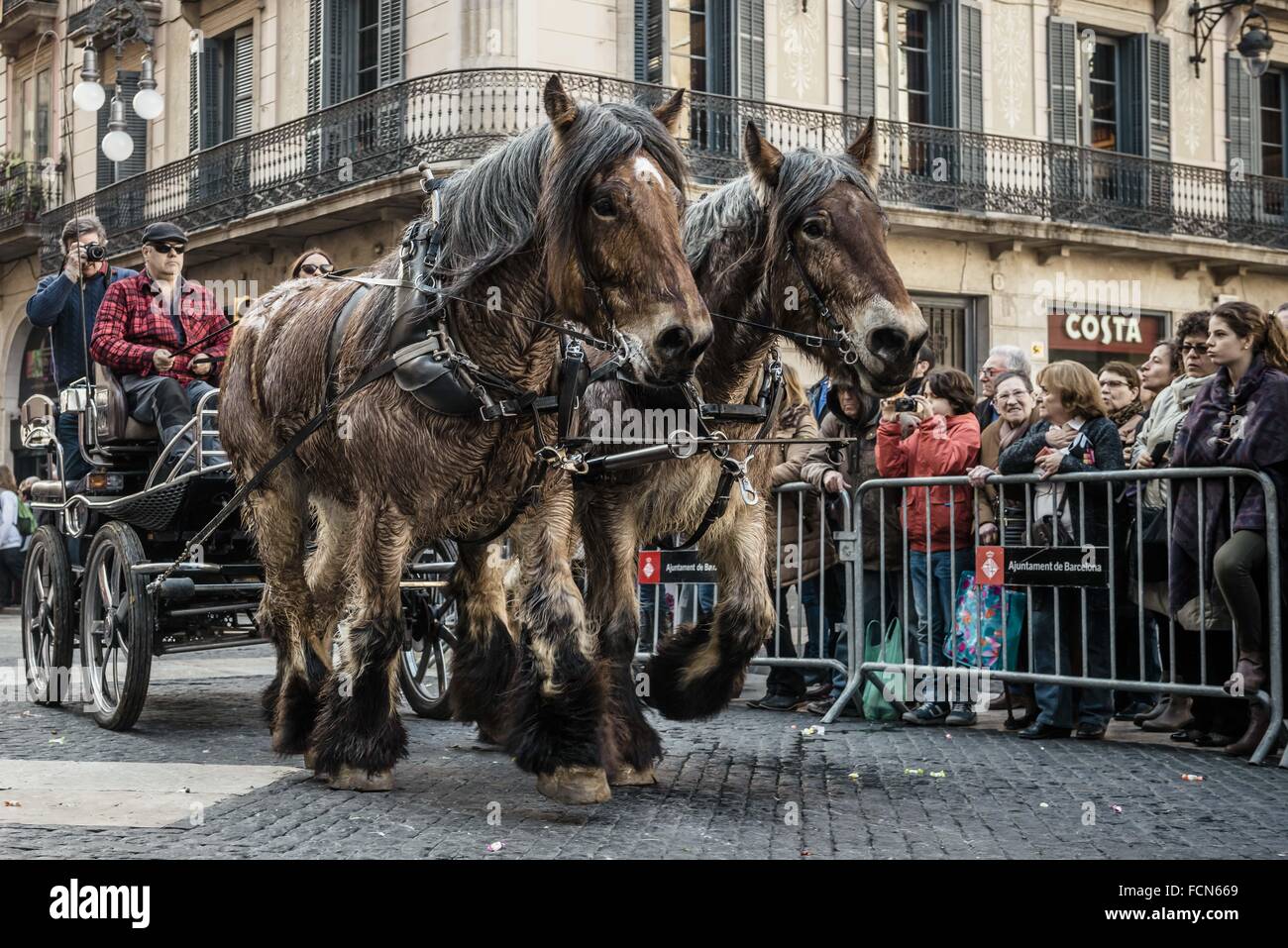Barcelona, Catalonia, Spain. 23rd Jan, 2016. Traditional horse-drawn ...
