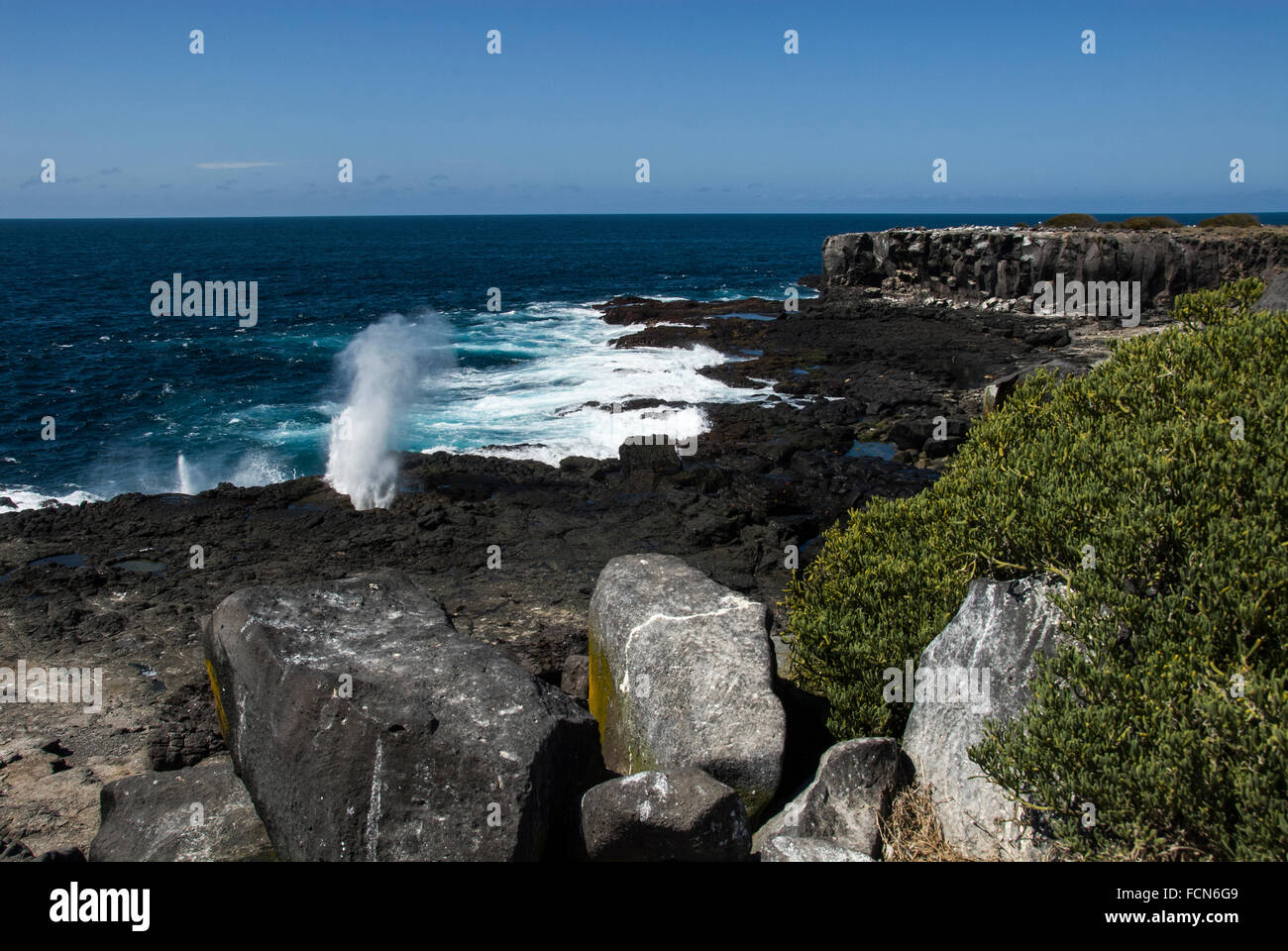 Blow Hole at Punta Suarez Espanola Island Galapagos Islands Ecuador ...