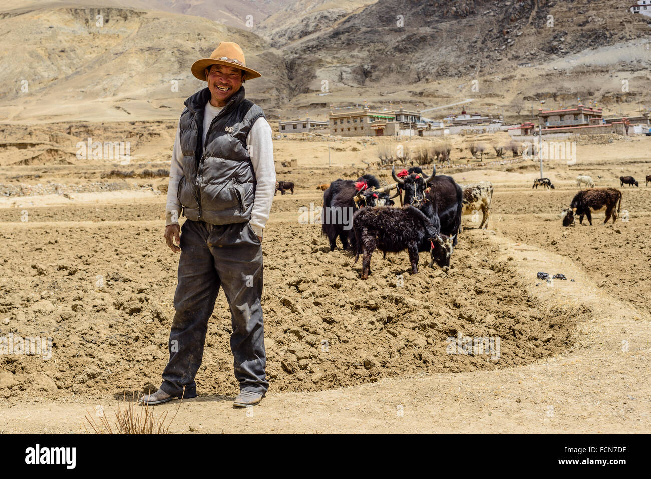 Farmer in Tibet Stock Photo - Alamy