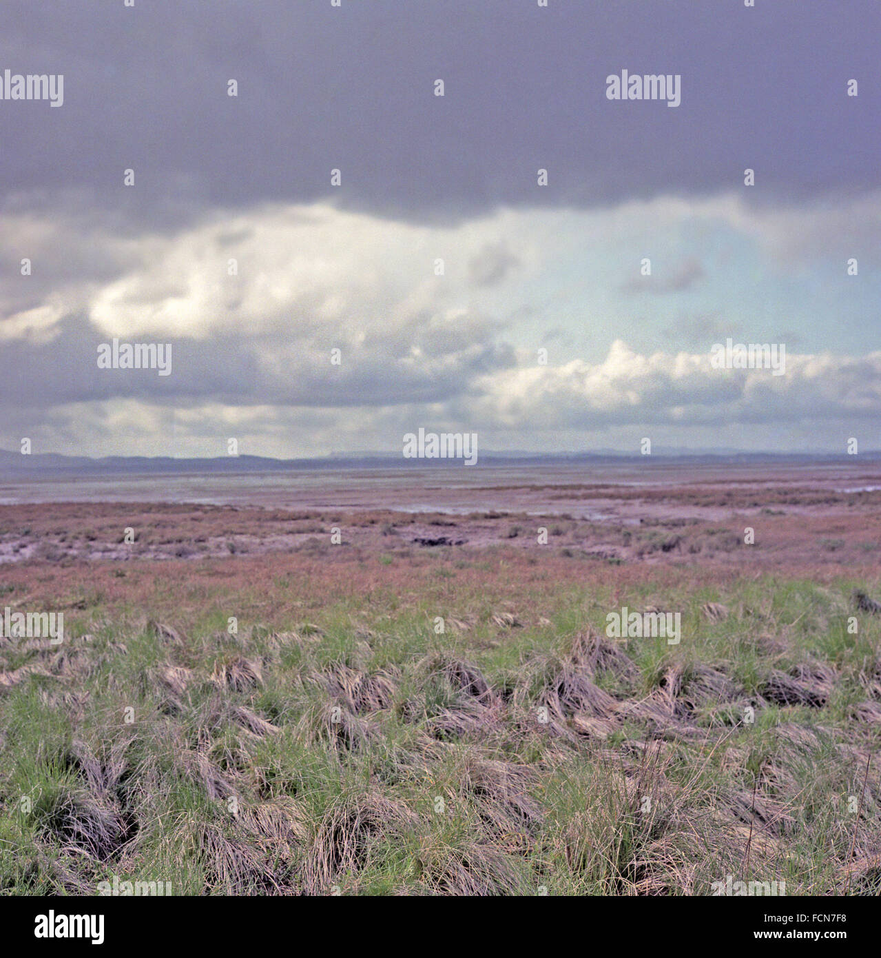 Willapa bay hi-res stock photography and images - Alamy