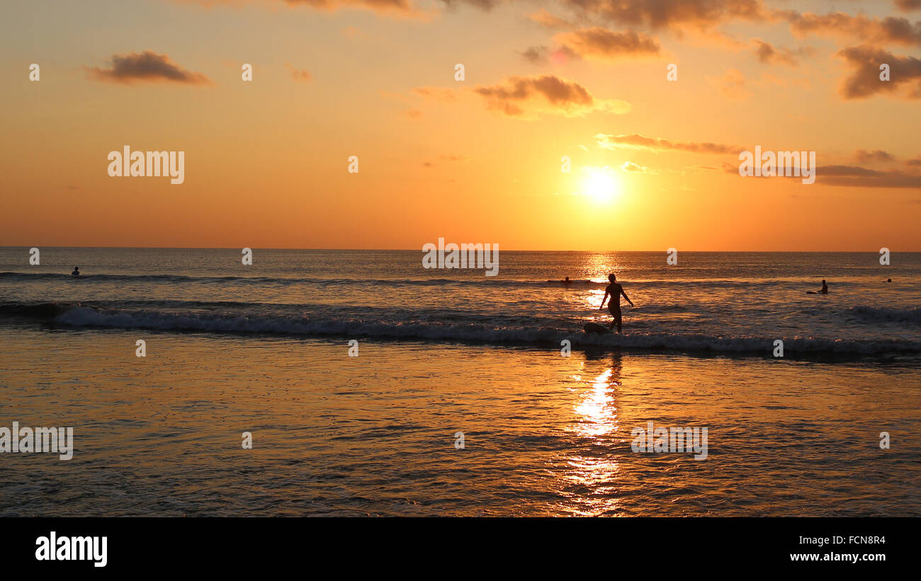 Surfer in the sunset Stock Photo - Alamy