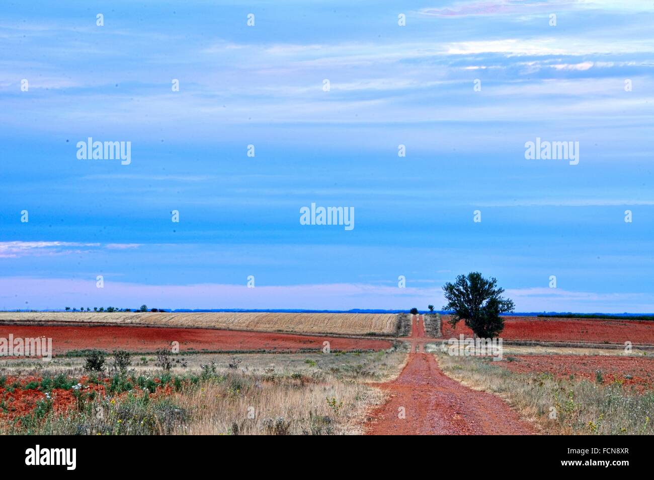 All these images are obtained using a similar 'time-stack' but with ...