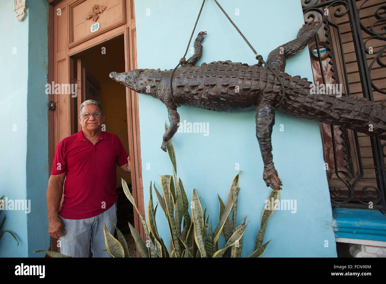 Crocodile House High Resolution Stock Photography and Images - Alamy