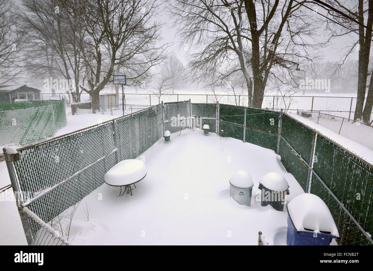Philadelphia, Pennsylvania, USA. 23rd Jan, 2016. Snow from the first ...