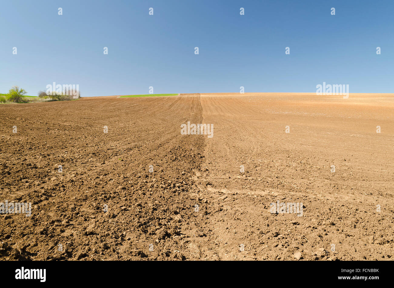 Plowed field in spring time with blue sky Stock Photo - Alamy