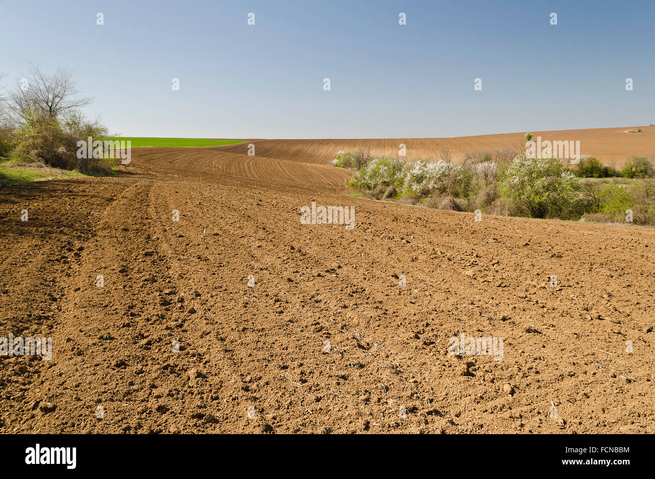 Plowed field in spring time with blue sky Stock Photo - Alamy