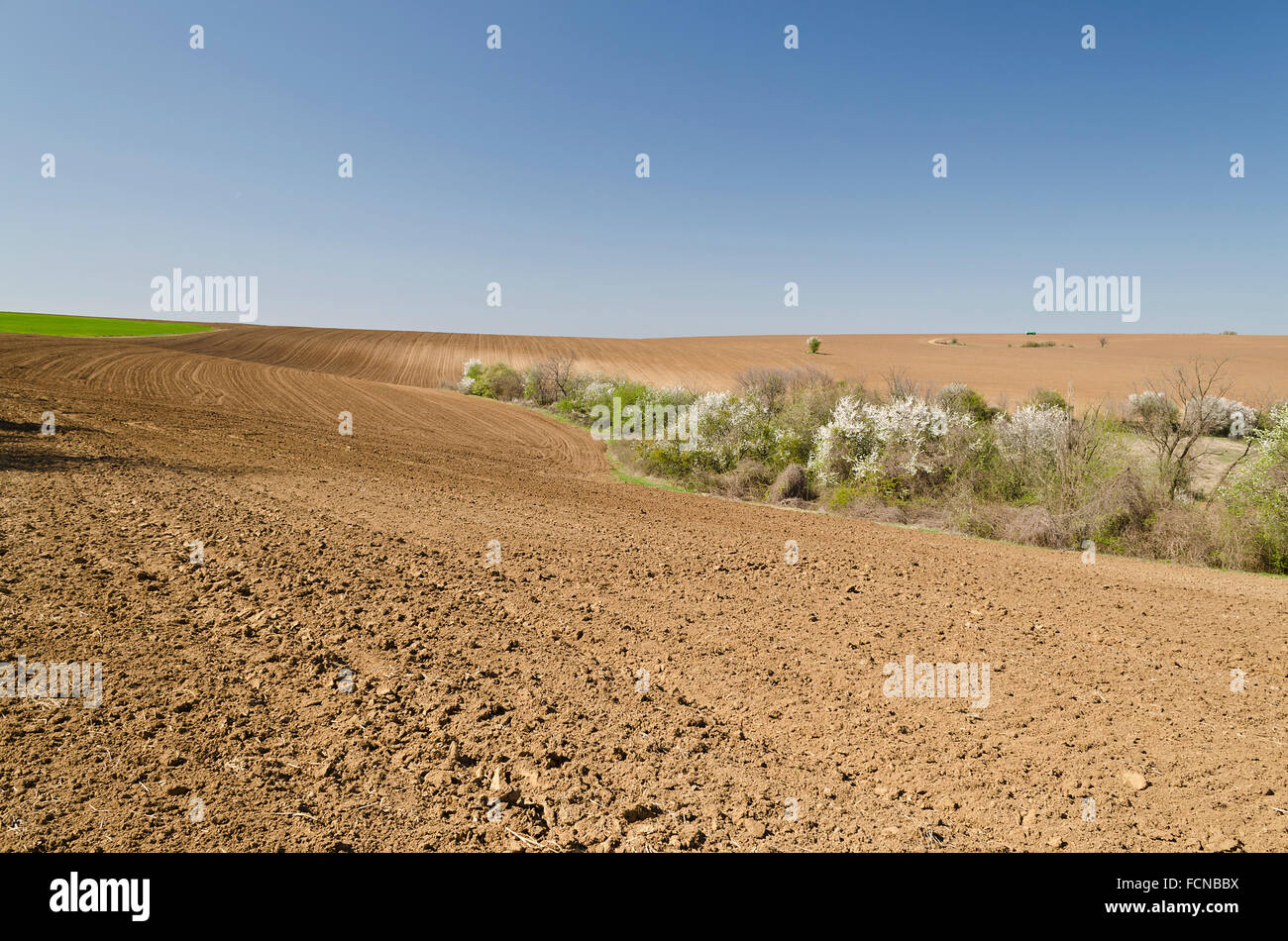 Plowed soil spring field hi-res stock photography and images - Alamy